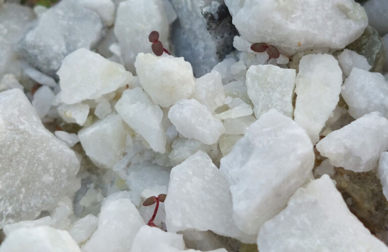 The rock called limestone - Nordkalk